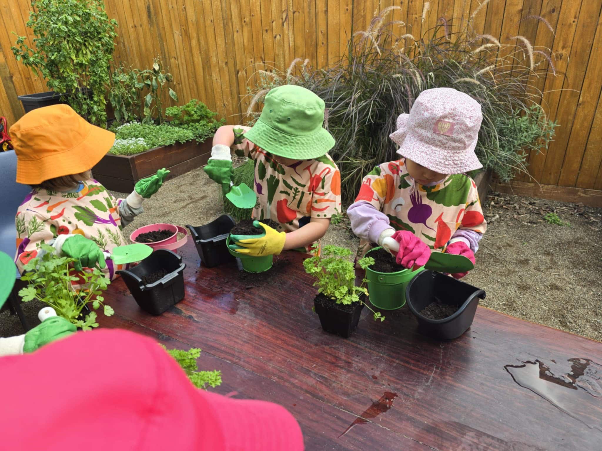 Stephanie Alexander Kitchen Garden Program - Story House Early Learning